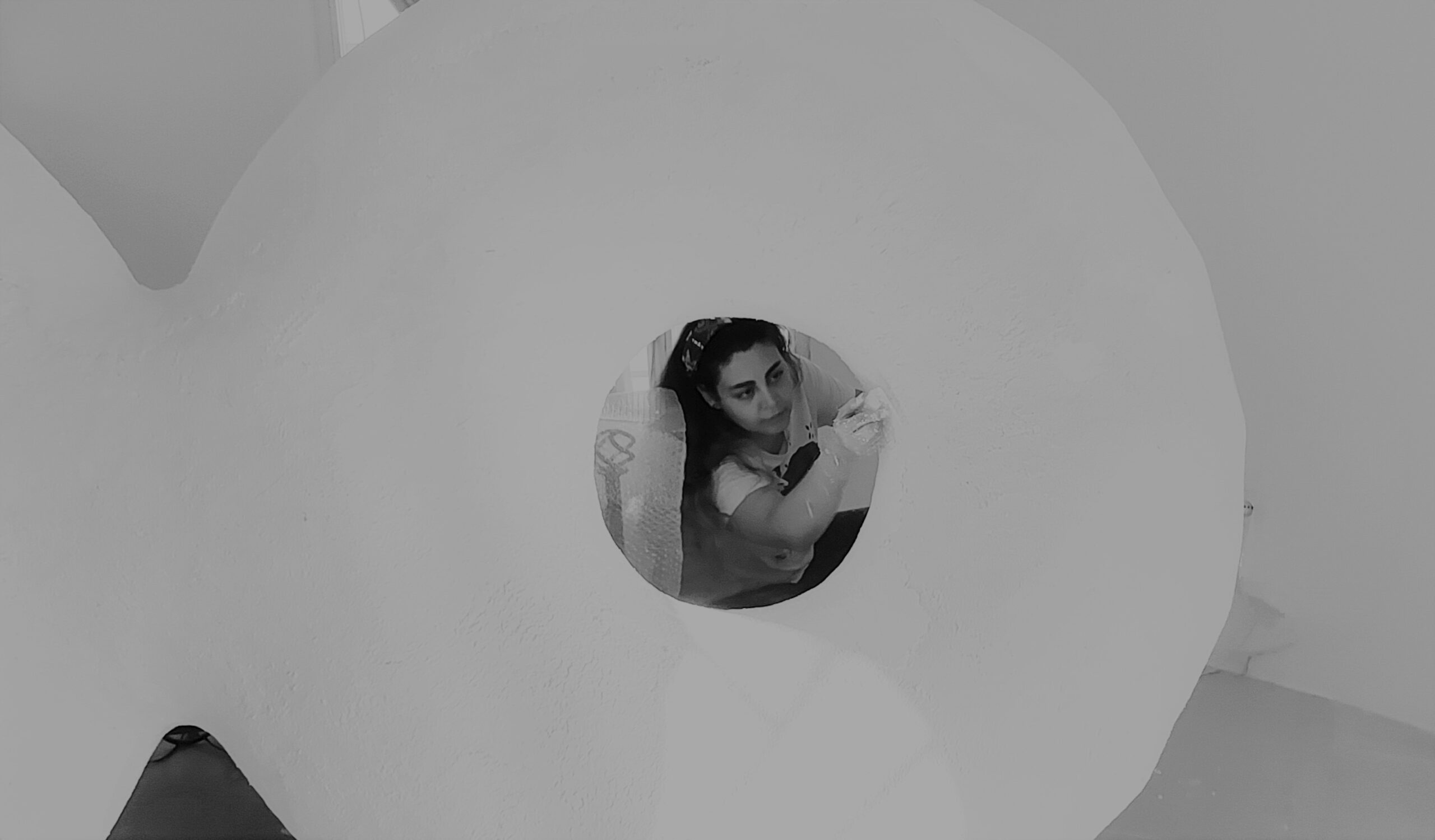 About Me - Visual and Fine Art Artist - Niloufar Fallahfar